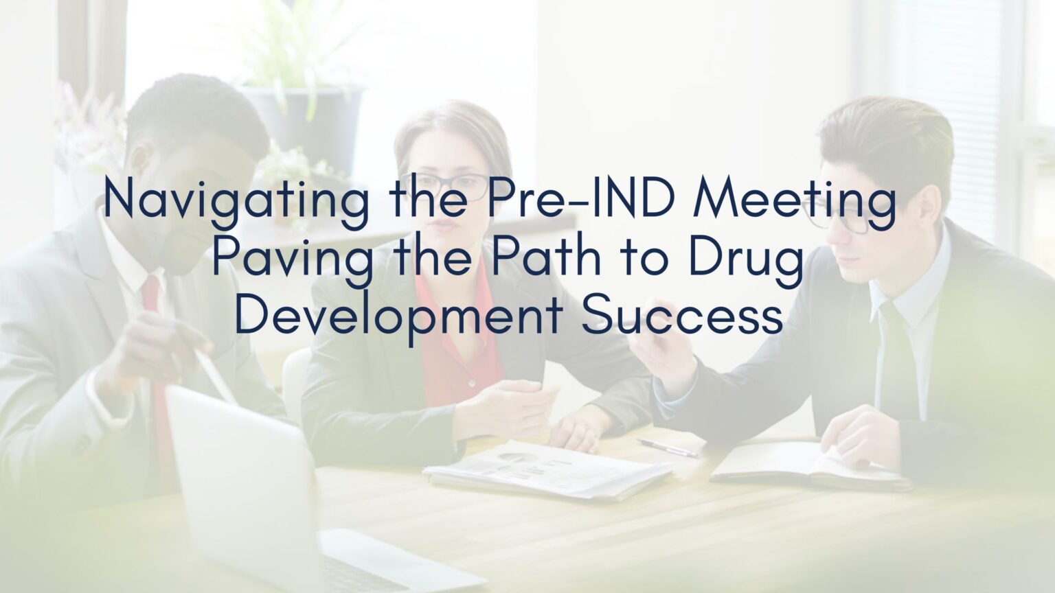 Navigating the Pre-IND Meeting: Paving the Path to Drug Development ...